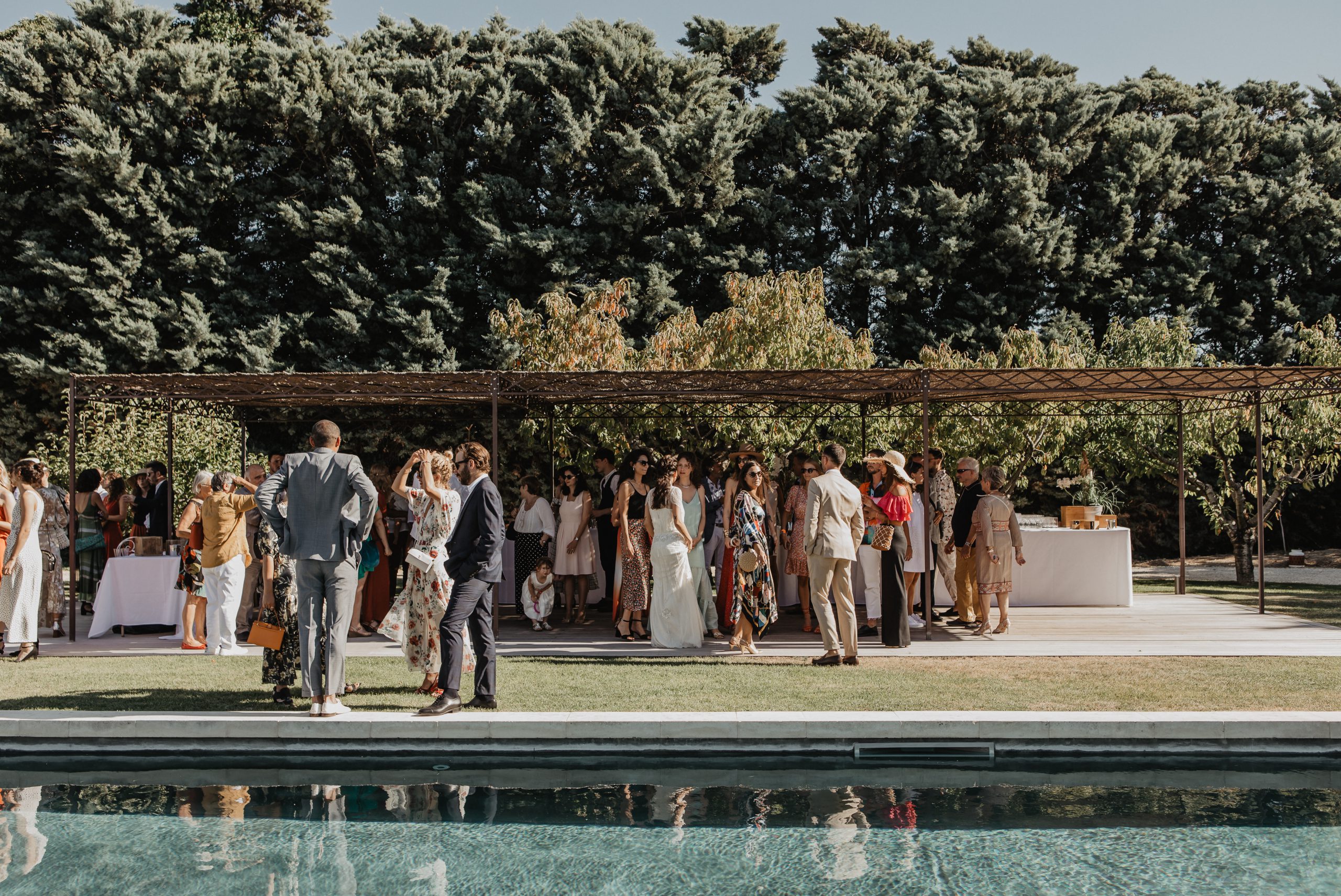 The pergola - Le Petit Roulet